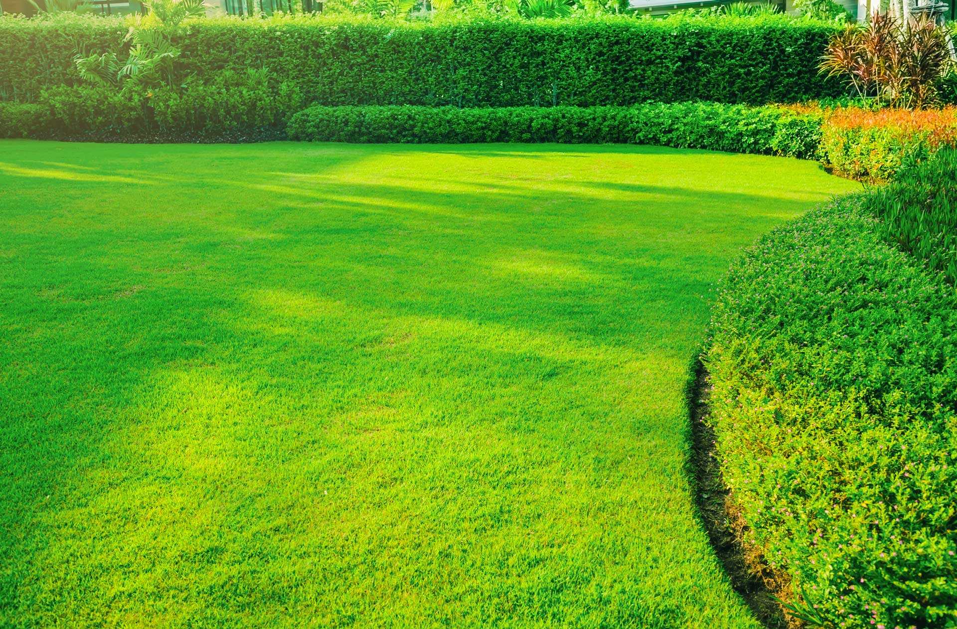About Us | The Other Side Lawn Service